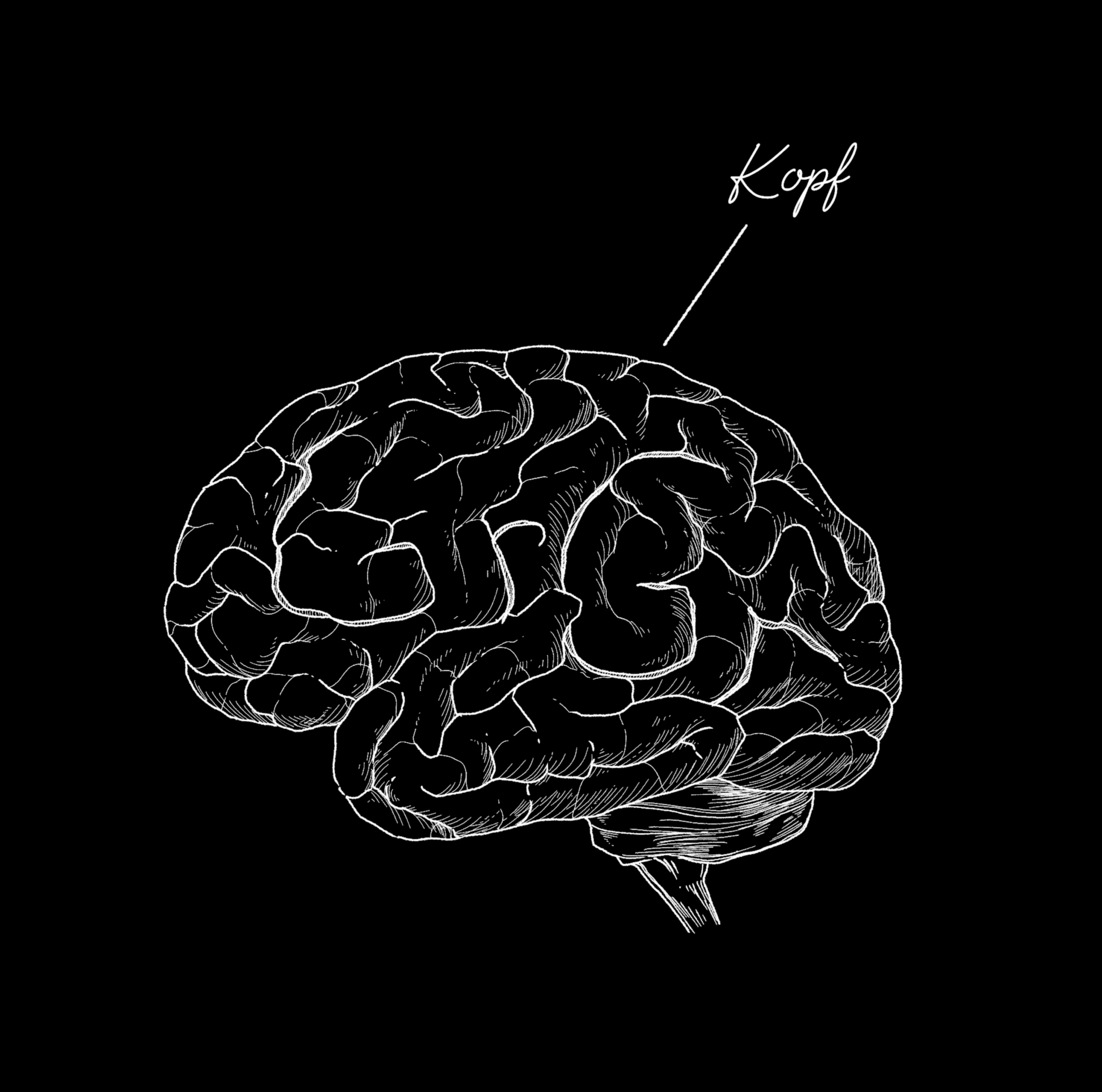 GrGr - Zweihorn Booking & Records